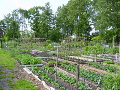 Groententuin | Doomkerke